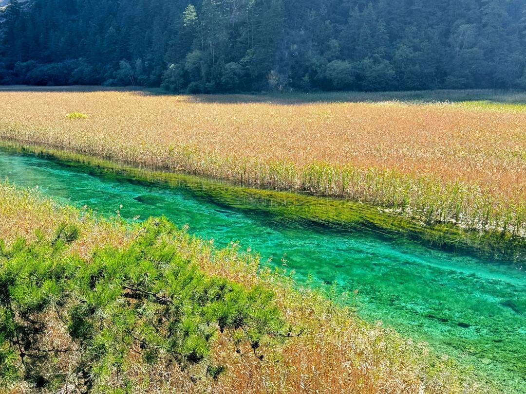 2-Day High-Speed Rail Tour from Chengdu, Sichuan to Jiuzhaigou and ...